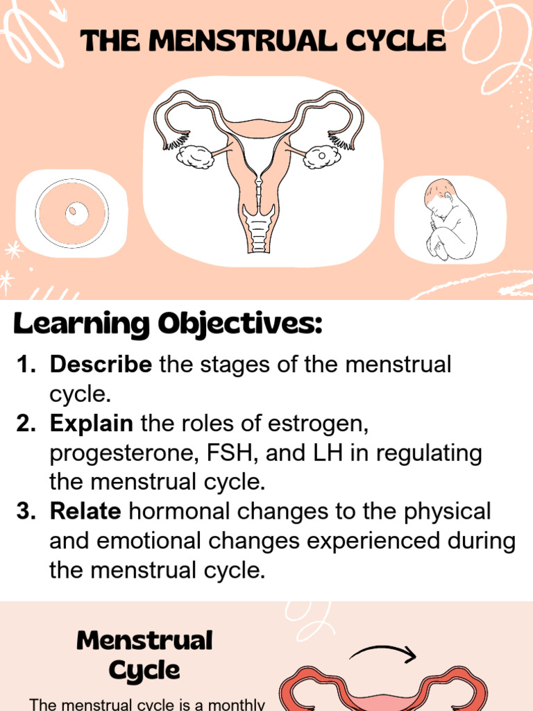 Science 10 Q3 Lesson 2 Menstrual Cycle | PDF | Menstrual Cycle | Puberty