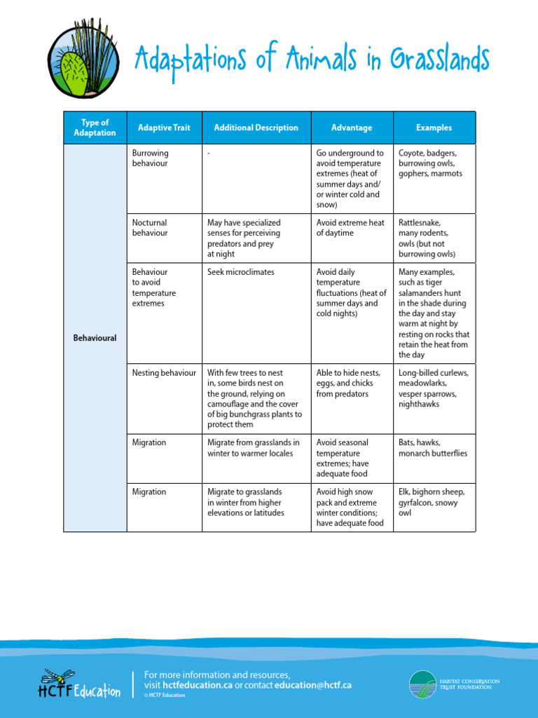 Grassland Adaptations | PDF | Ruminant | Root