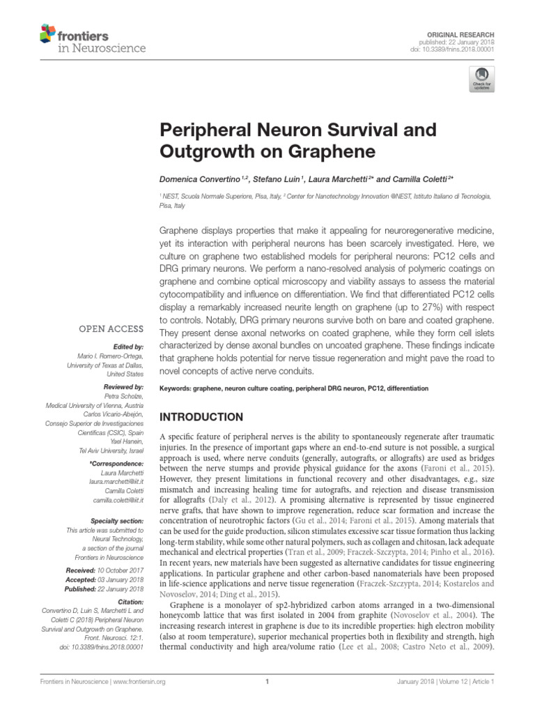 Peripheral Neuron Survival and Outgrowth On Graphene | PDF | Graphene ...