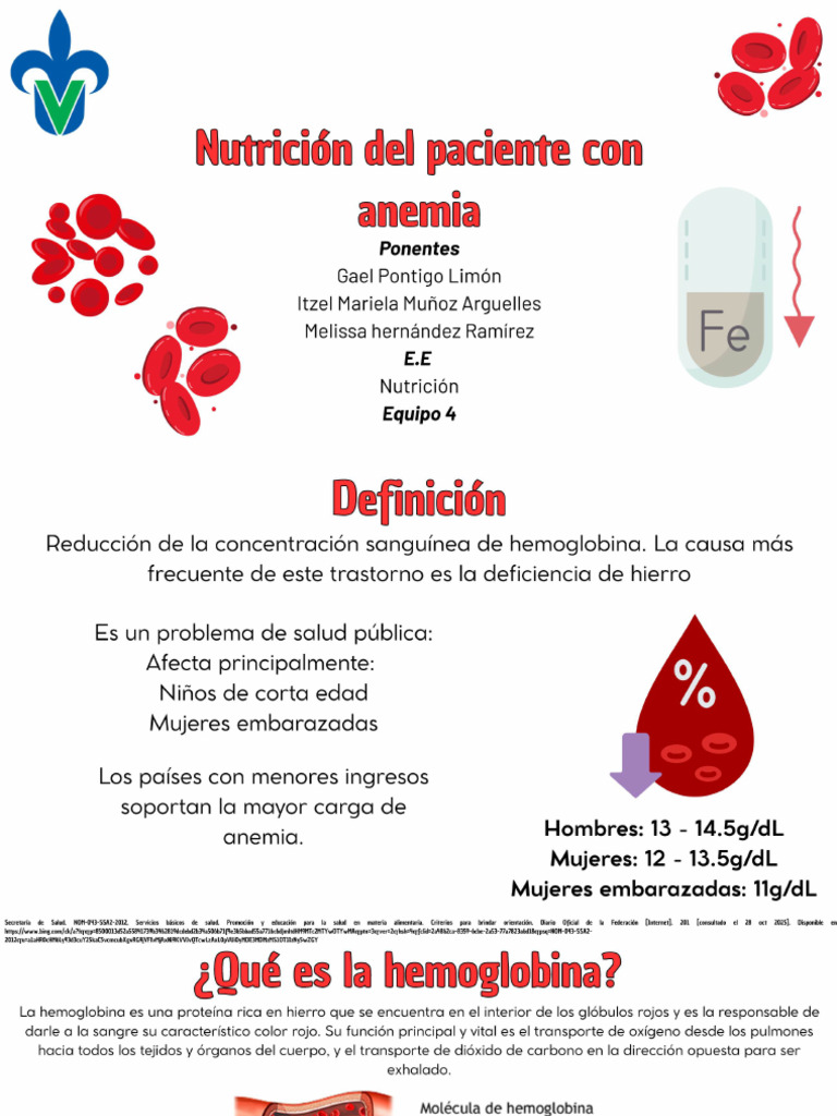 Equipo4 Paciente Con Anemia Nutrición | PDF