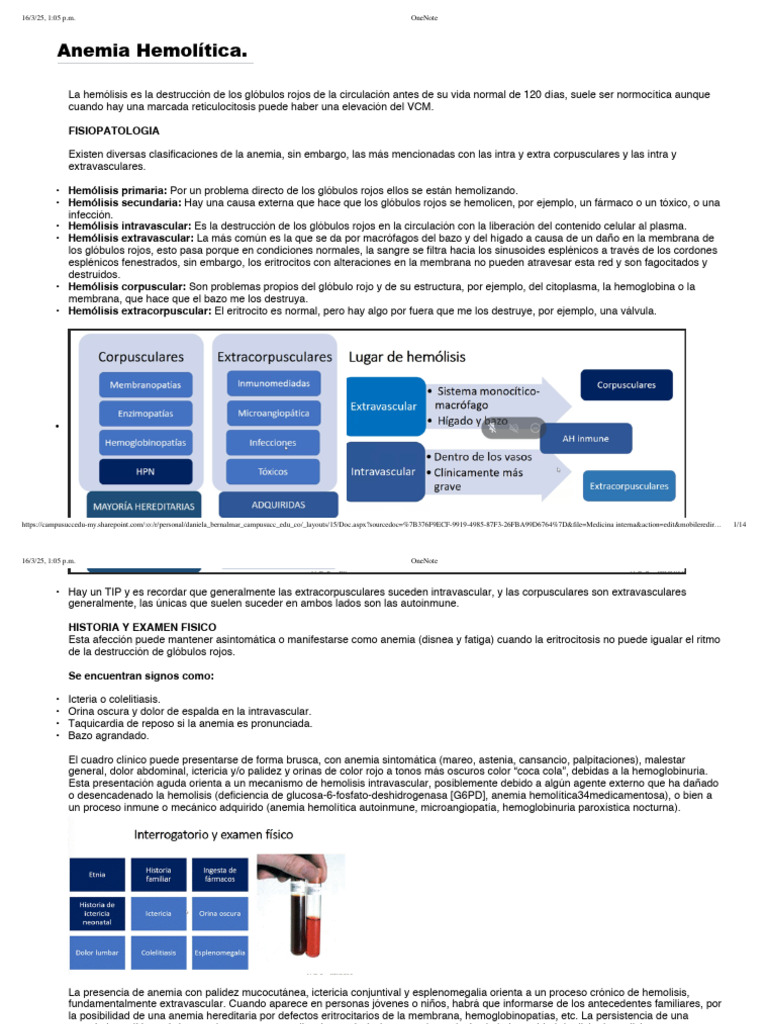 Anemia Hemolítica: Causas y Diagnóstico | PDF | Glóbulo rojo | Anemia