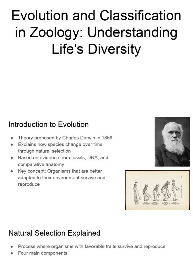 Evolution and Classification | PDF | Evolution | Taxonomy (Biology)