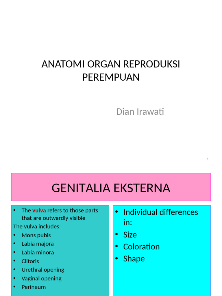 Anatomi Organ Reproduksi Perempuan | PDF