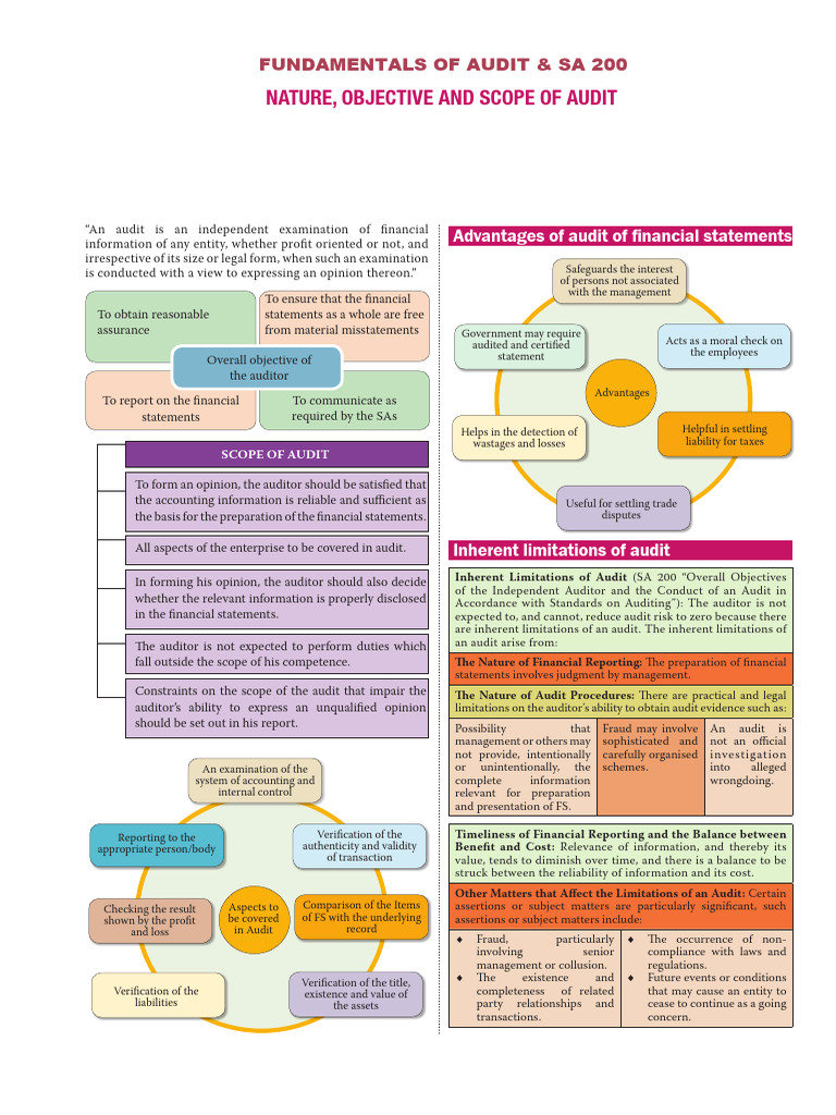 Audit Objectives and Scope Explained | PDF | Audit | Internal Control