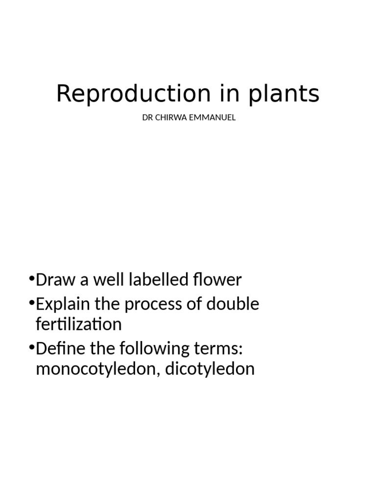Plant Reproduction and Fertilization Guide | PDF | Seed | Fertilisation