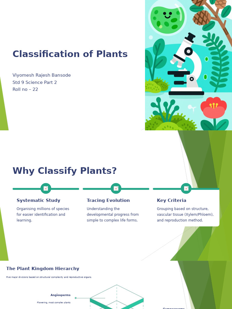 Classification of Plants | PDF | Fern | Seed