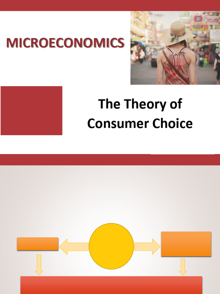 Consumer Choice Theory Overview | PDF | Utility | Economics