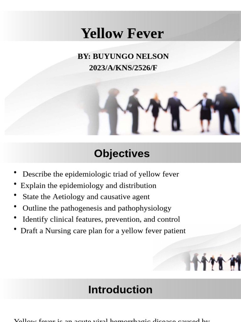 Yellow Fever Final Copy | PDF | Yellow Fever | Dehydration