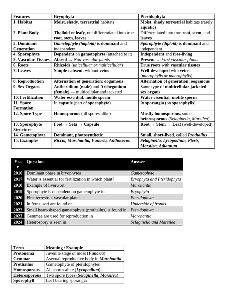 b vs p | PDF | Fern | Plants