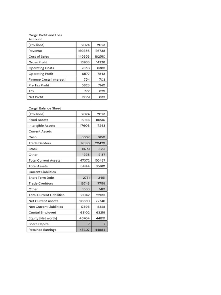 Cargill Total Assets Overview 2024 | PDF