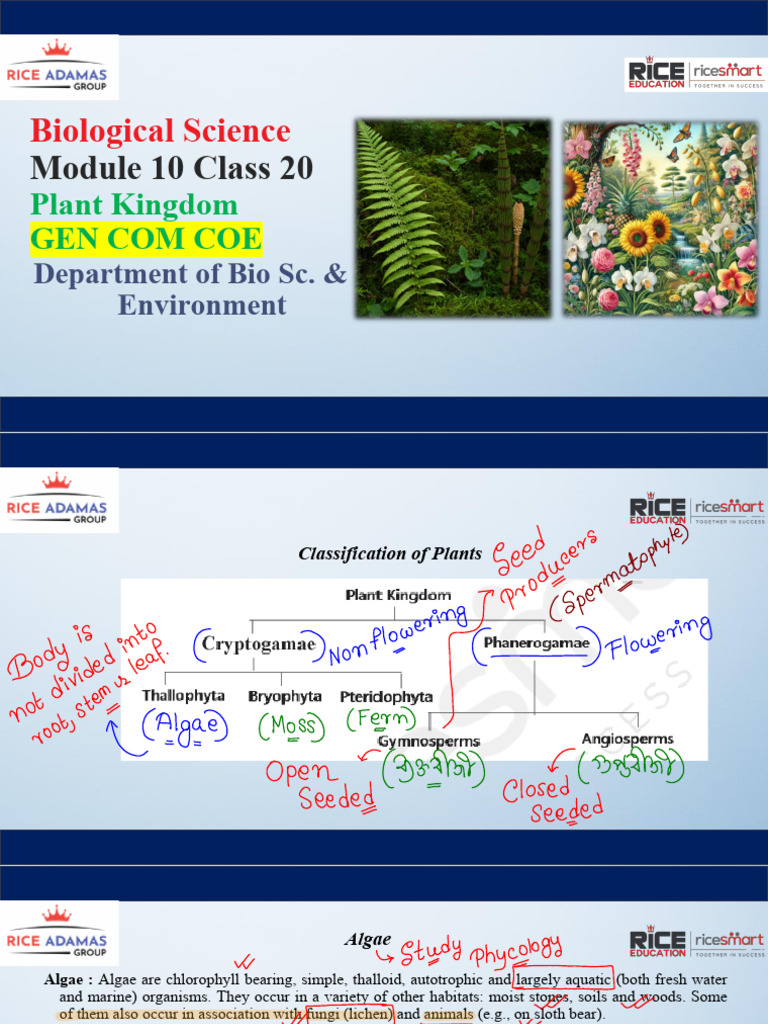 GC COE Module 10 Class 20 Part 1 | PDF | Algae | Biology