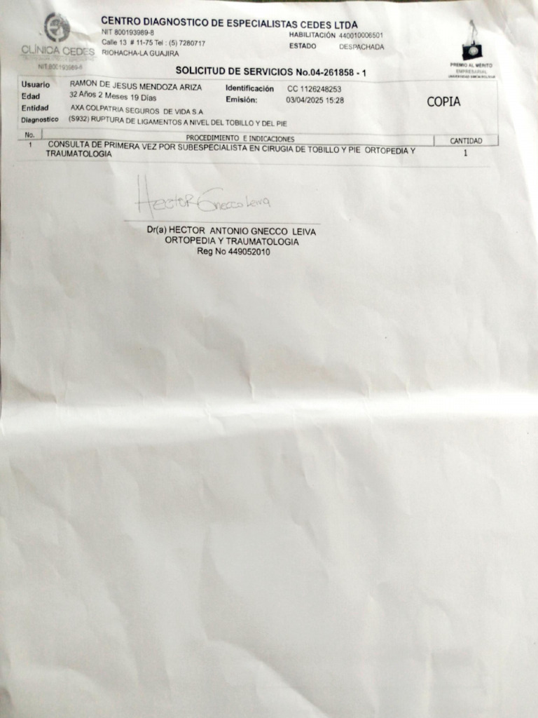 Autorización Cedes | PDF