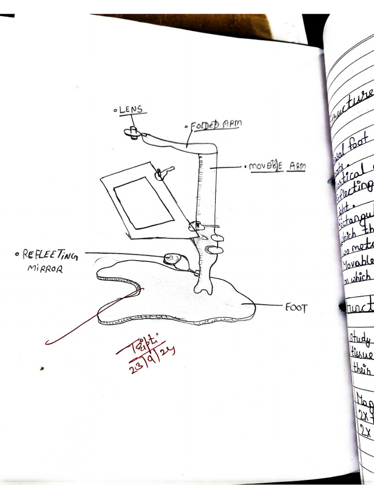 Zoology Practical File Part 1 | PDF