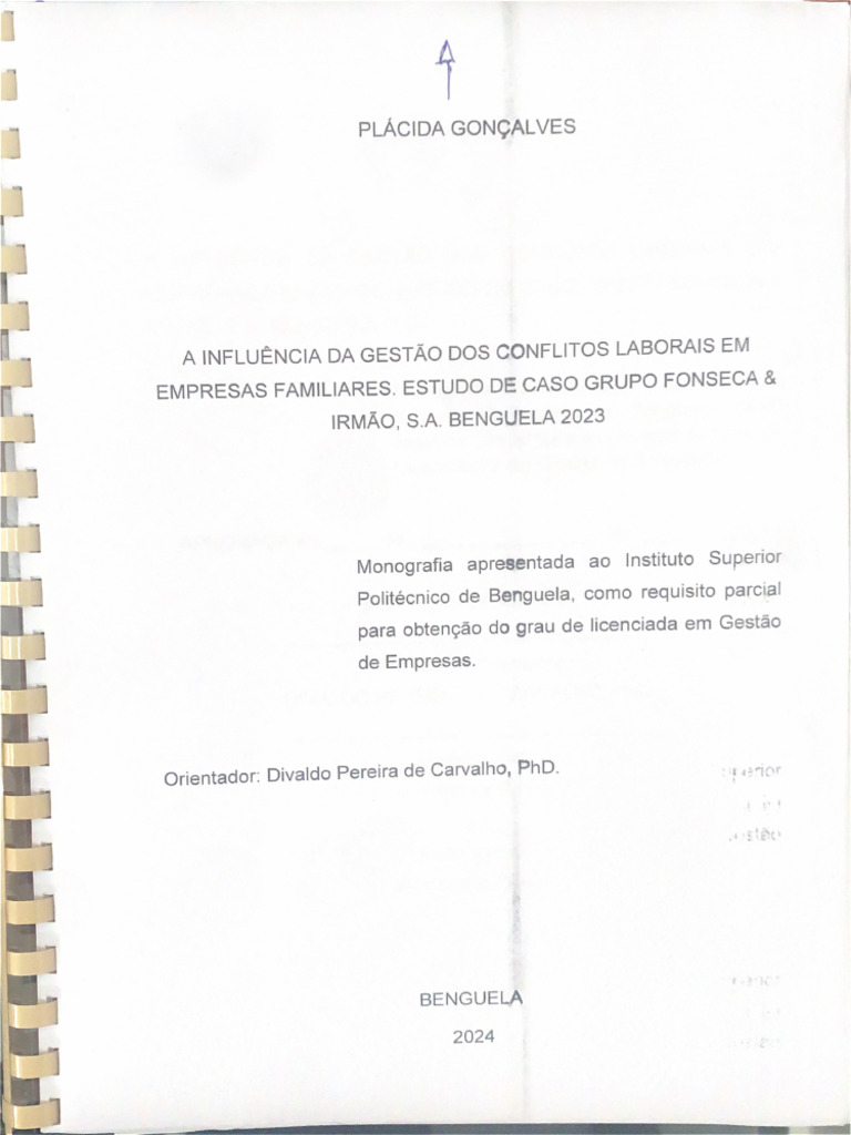 TCC Final - Análise - Plácida G | PDF