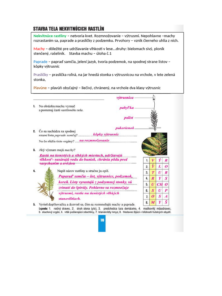 Bio 6.r. Stavba Tela Nekvitnúcich Rastlín | PDF