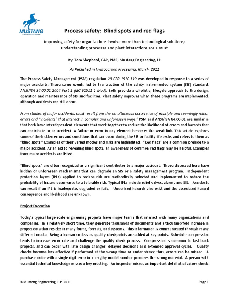 Process Safety Blind Spots and Red Flag | PDF | Risk | Safety