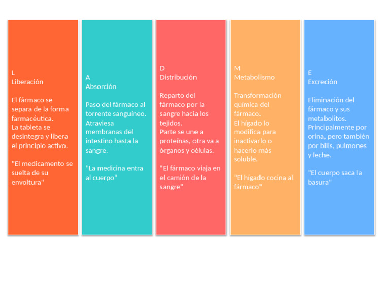 LADME Infografia | PDF