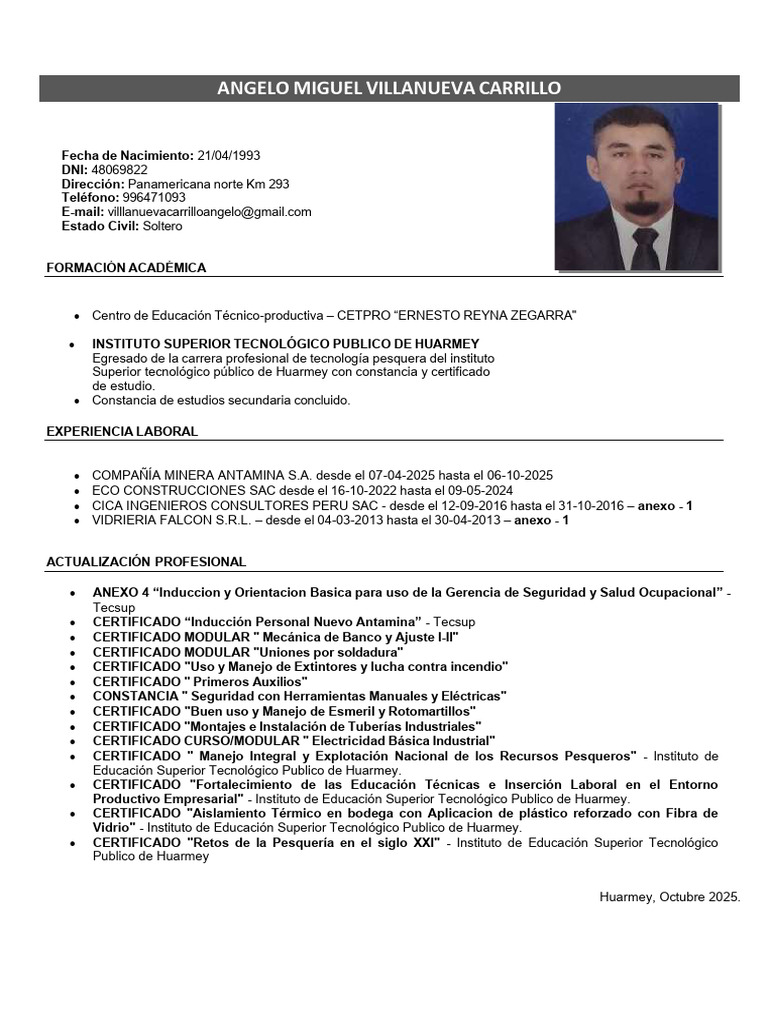 CV Angelo - 2025 | PDF