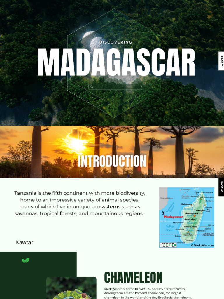 Kawtar Belalia, Cristina Manrique, Dounia Tribek and Marie Sara PDF ...