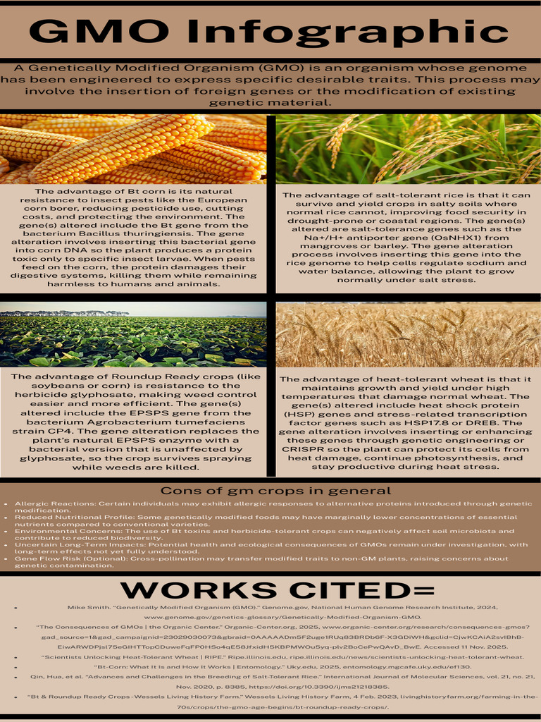 GMO Risks and Benefits Overview | PDF | Genetically Modified Organism ...