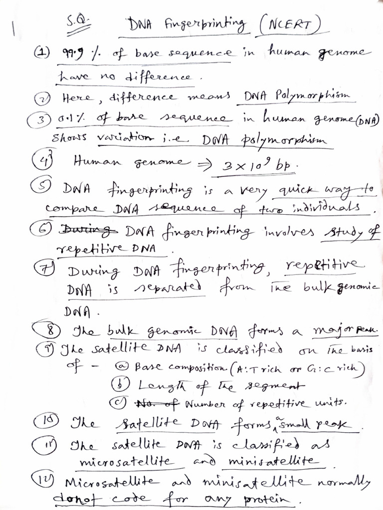 PDFReader 20250721 1923 | PDF