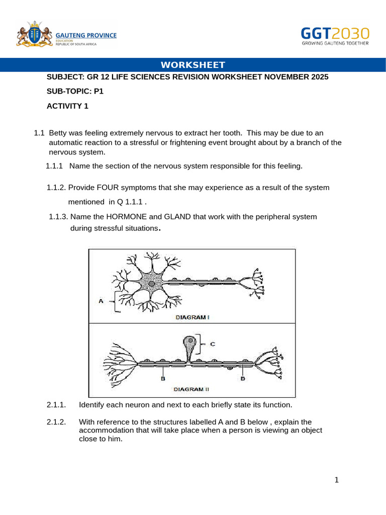 Grade 12 Life Sciences Revision Worksheet | PDF | Prenatal Development ...