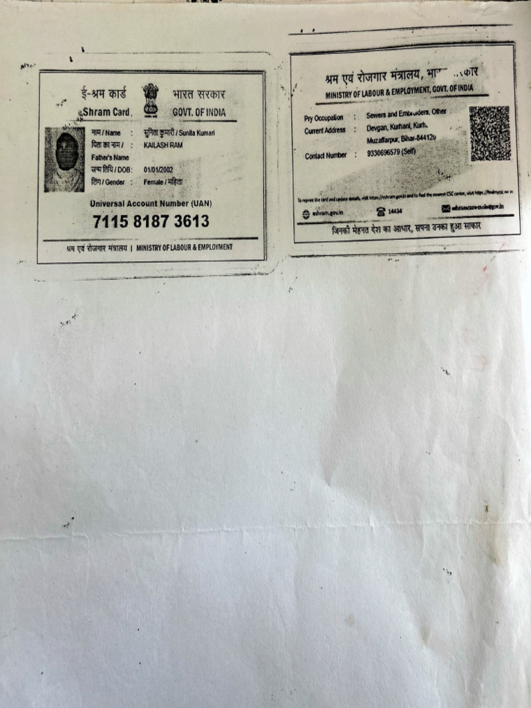 S - e - Shram Card | PDF