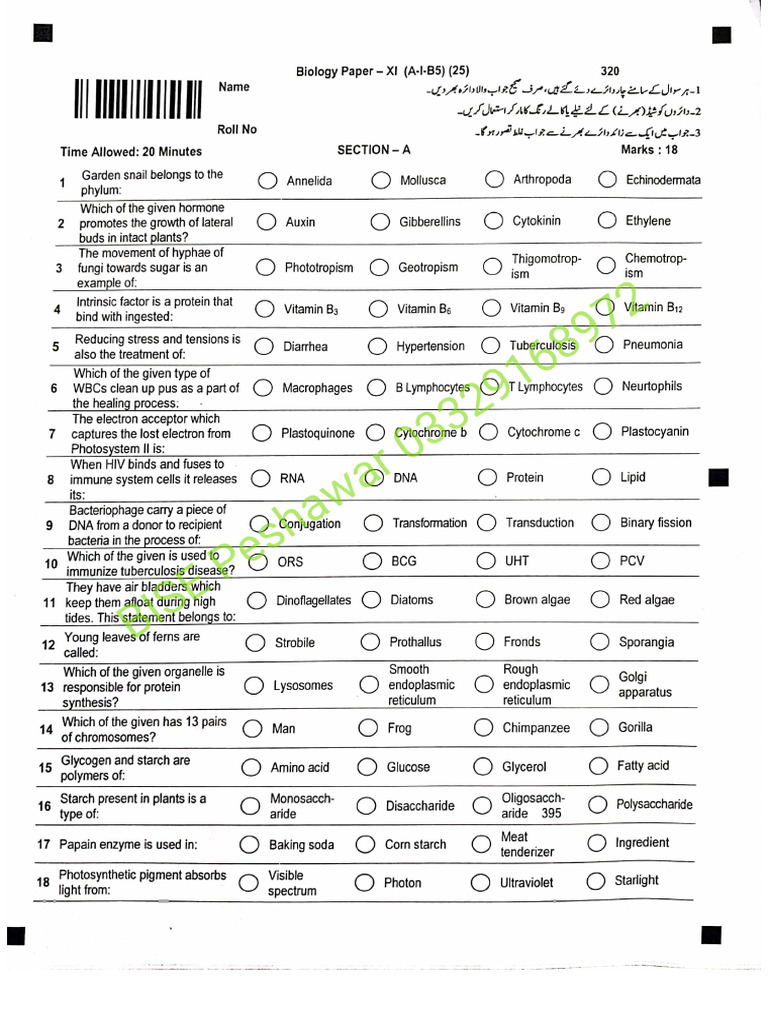 BISE Peshawar 1st Year All Paper 2025 03329168972 | PDF