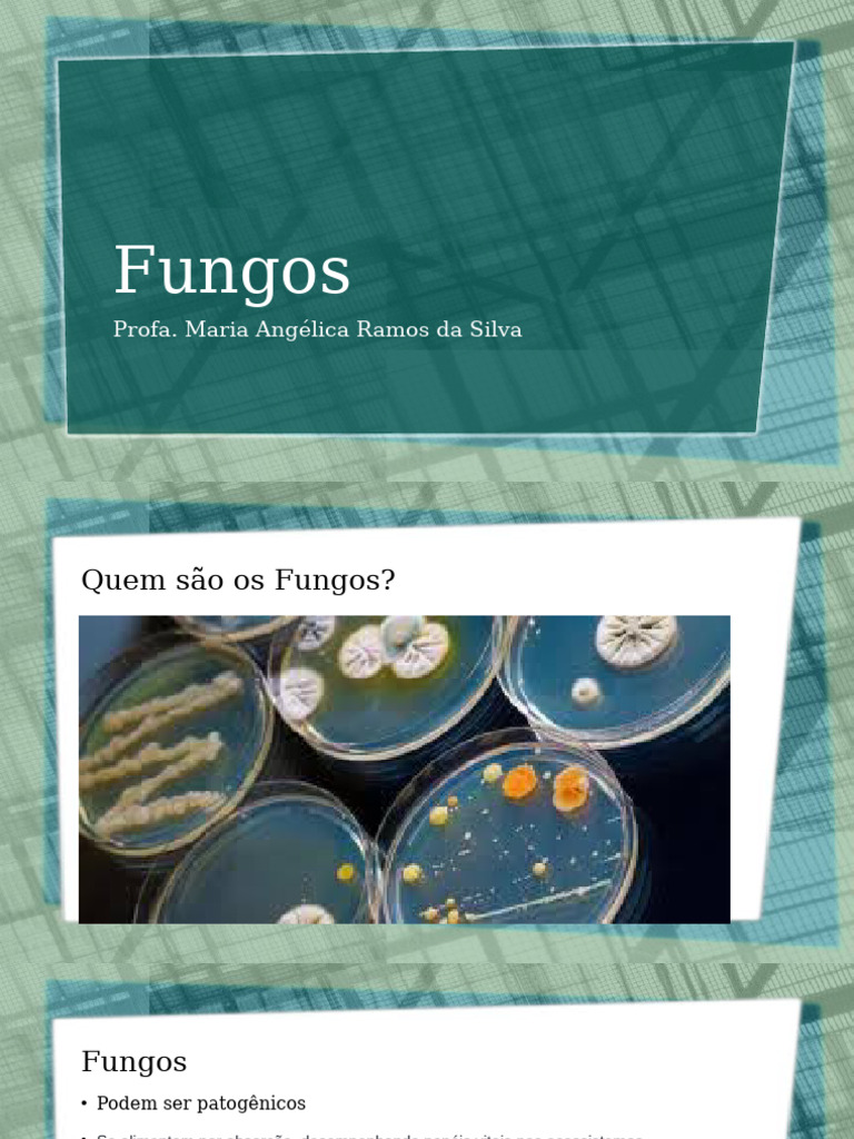 Aula 07 Fungos.pptm | PDF