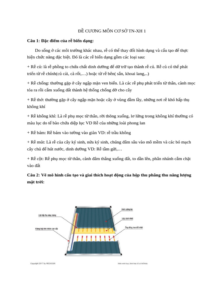 CSTN 1 | PDF
