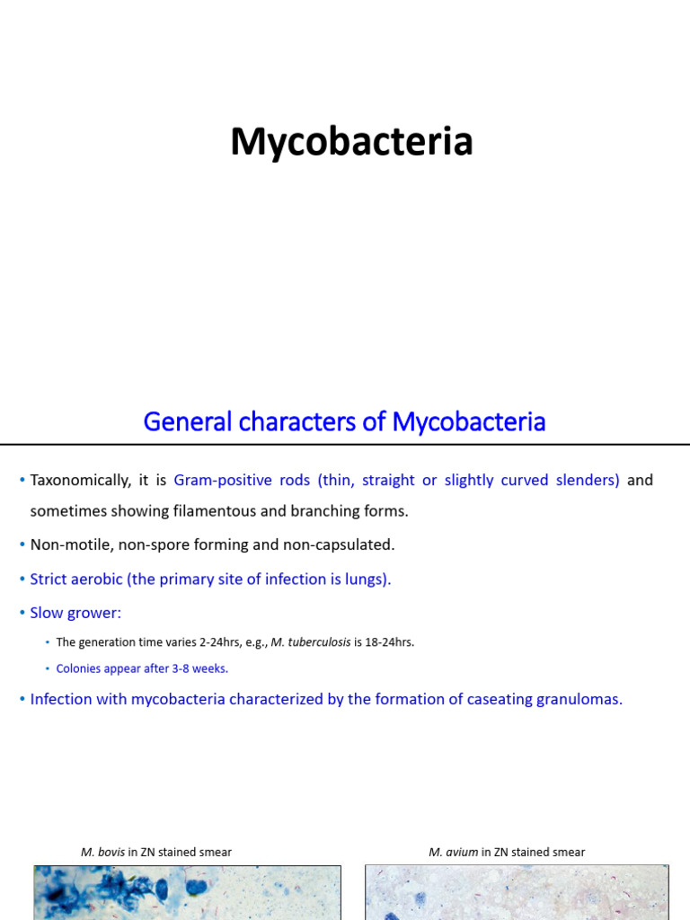 Mycobacteria: Characteristics and Diagnosis | PDF | Mycobacterium ...