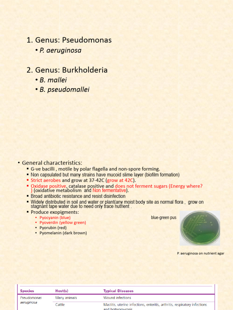 Lec 6 Pseudomonas Burkholderia Pasteurella | PDF | Pseudomonas ...