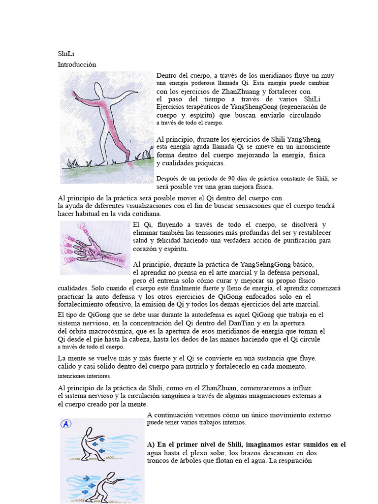 Shi li | PDF | Qi | Qigong