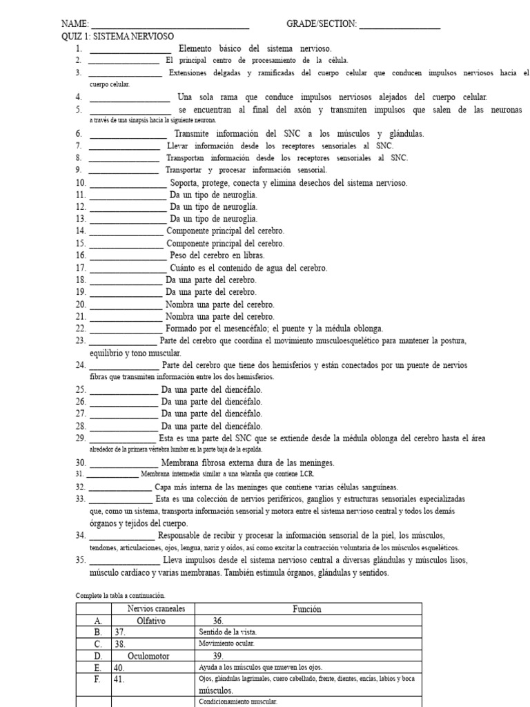QUIZ 1-Sci10-Sistema Nervioso | PDF | Sistema nervioso | Cerebro