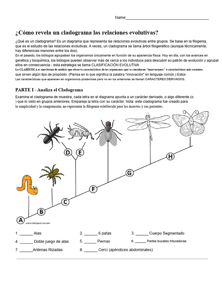 Cladograma | PDF