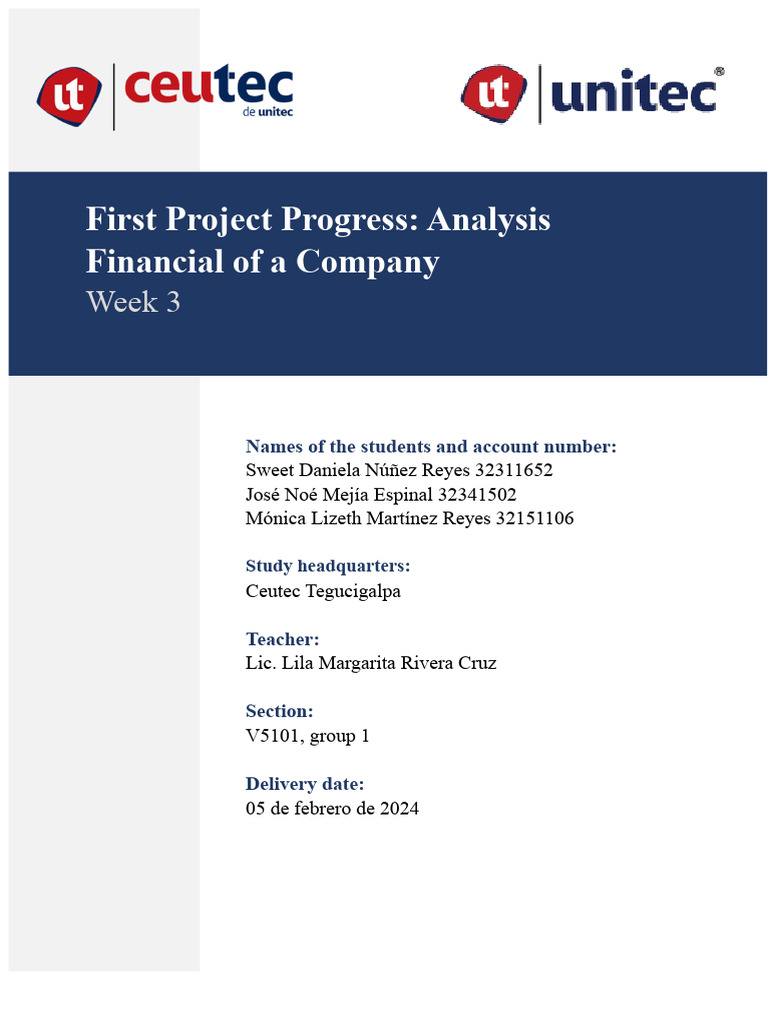 First Progress Report Project, Financial Analysis of A Company, Group 1 ...