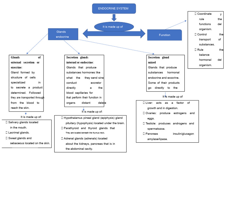 Overview of the Endocrine System | PDF | Endocrine System | Glands