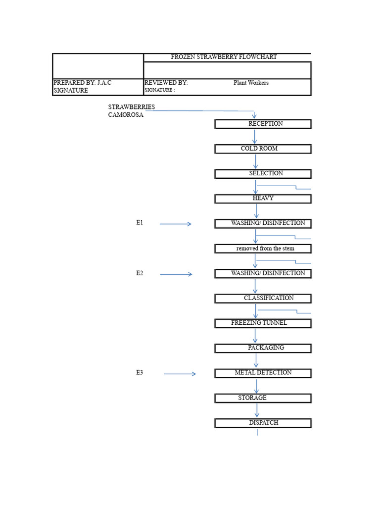 Frozen Strawberry Processing Flowchart | PDF