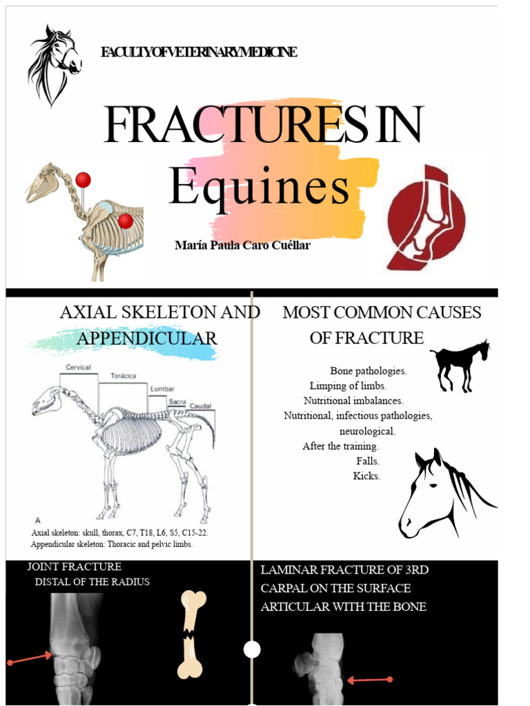 fractures in equines | PDF