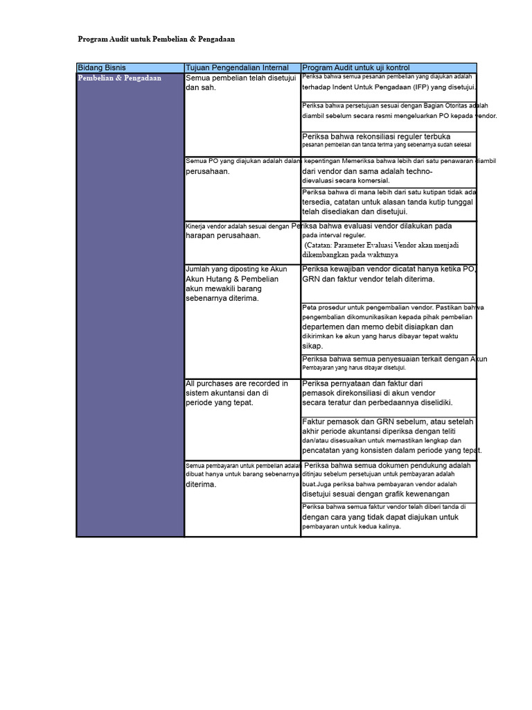 Program Audit Internal | PDF