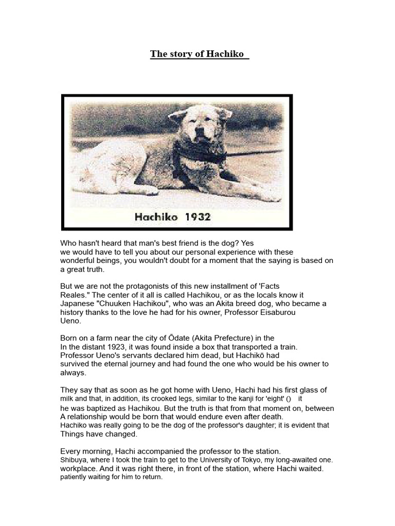 Hachiko's Story NNNNNNN | PDF