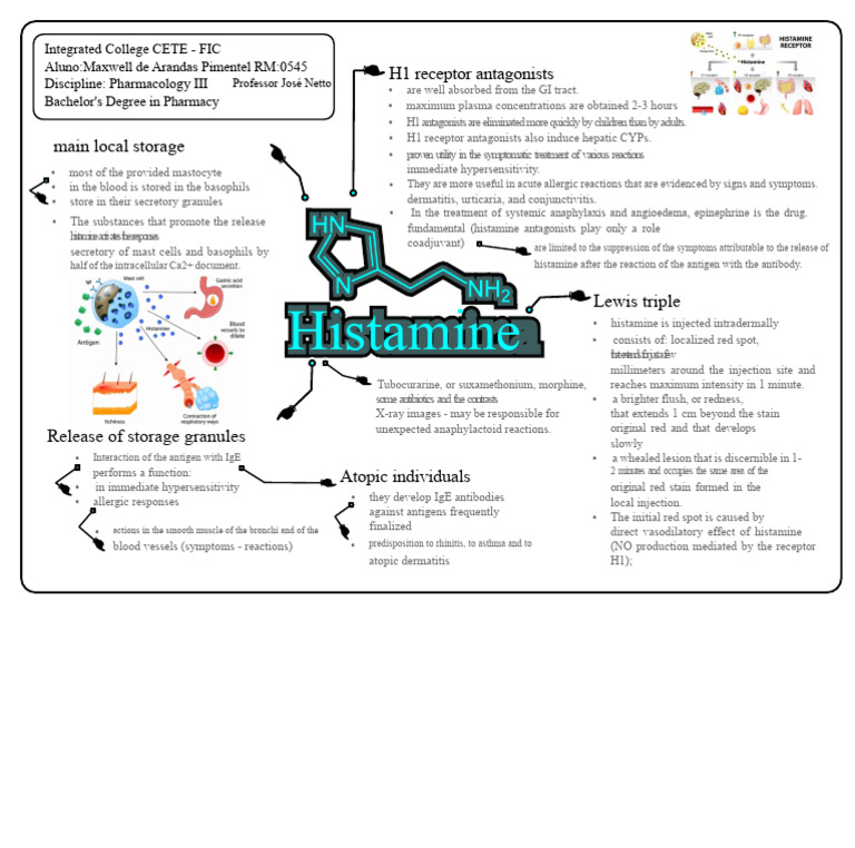 Mind Map - Histamine | PDF | Allergy | Immunology
