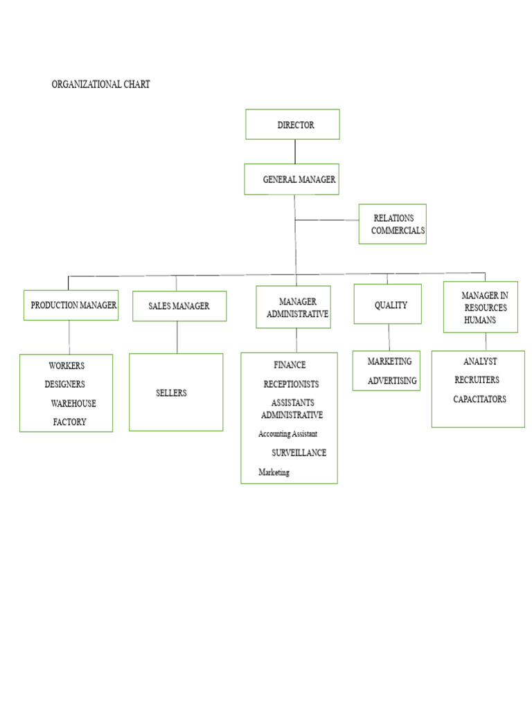 Organizational Chart Task 2 | PDF
