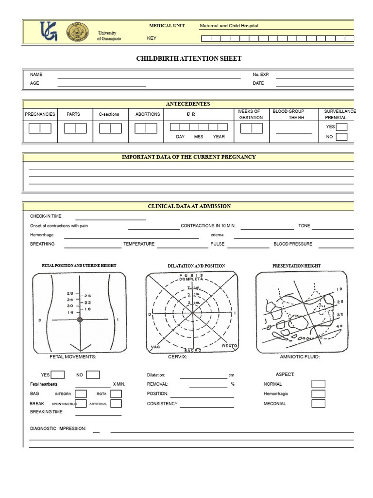 Partogram Ug SPML | PDF | Childbirth | Postpartum Period
