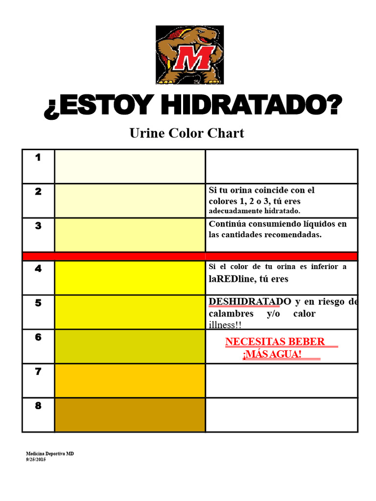 Gráfico de colores de orina | PDF