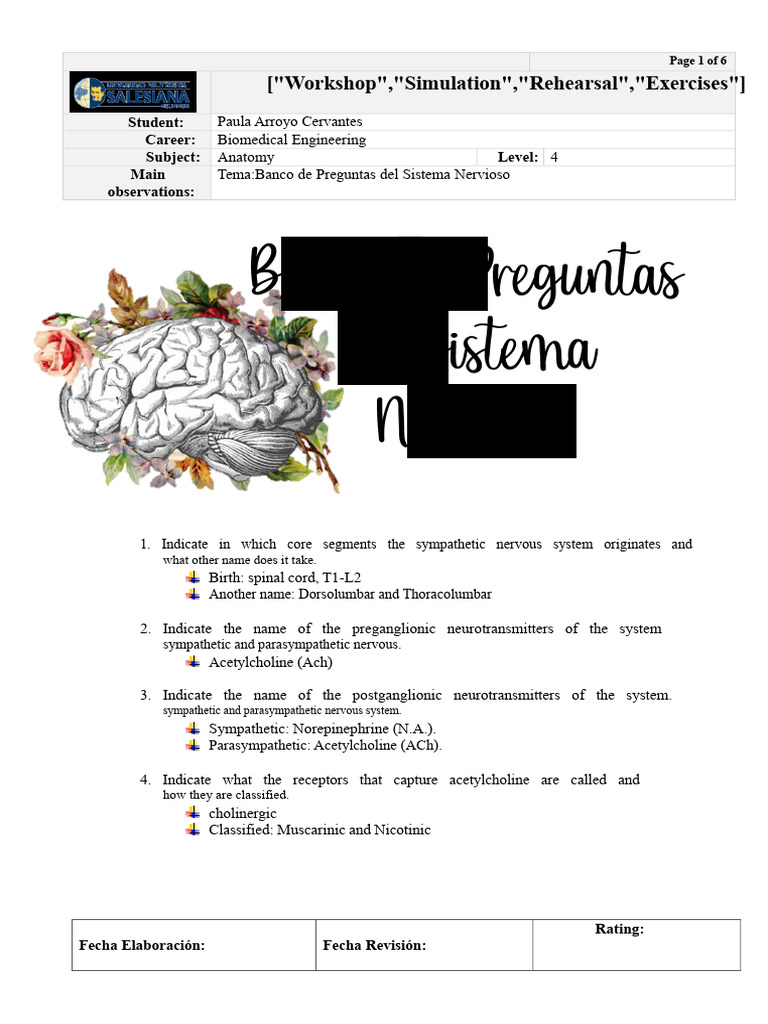 Bank of Questions Anatomy Nervous System | PDF | Acetylcholine ...