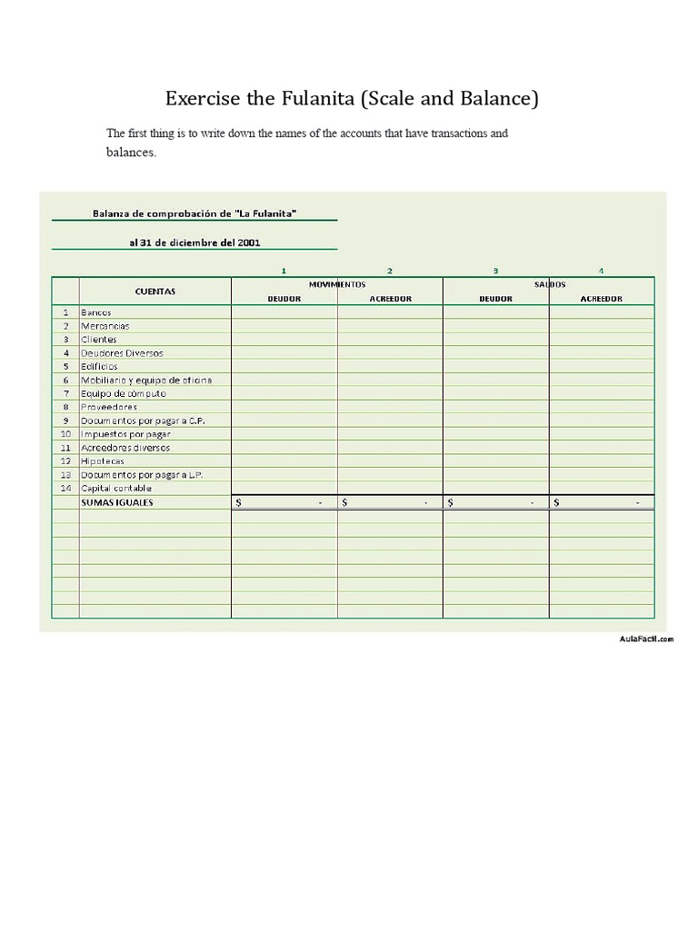 Trial Balance Exercise | PDF