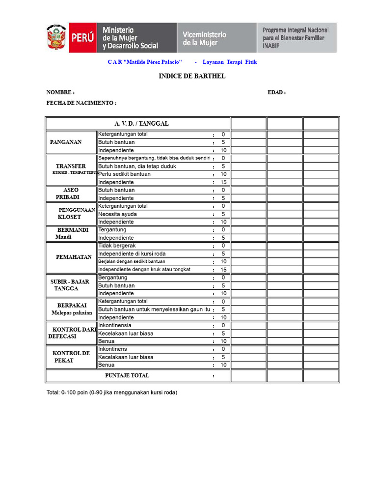 Indeks Barthel untuk Terapi Fisik | PDF