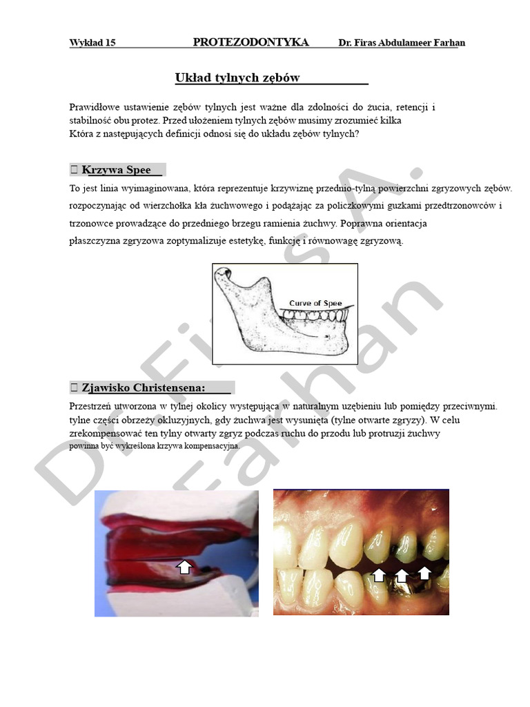 Lec 15 Układ zębów tylnych | PDF