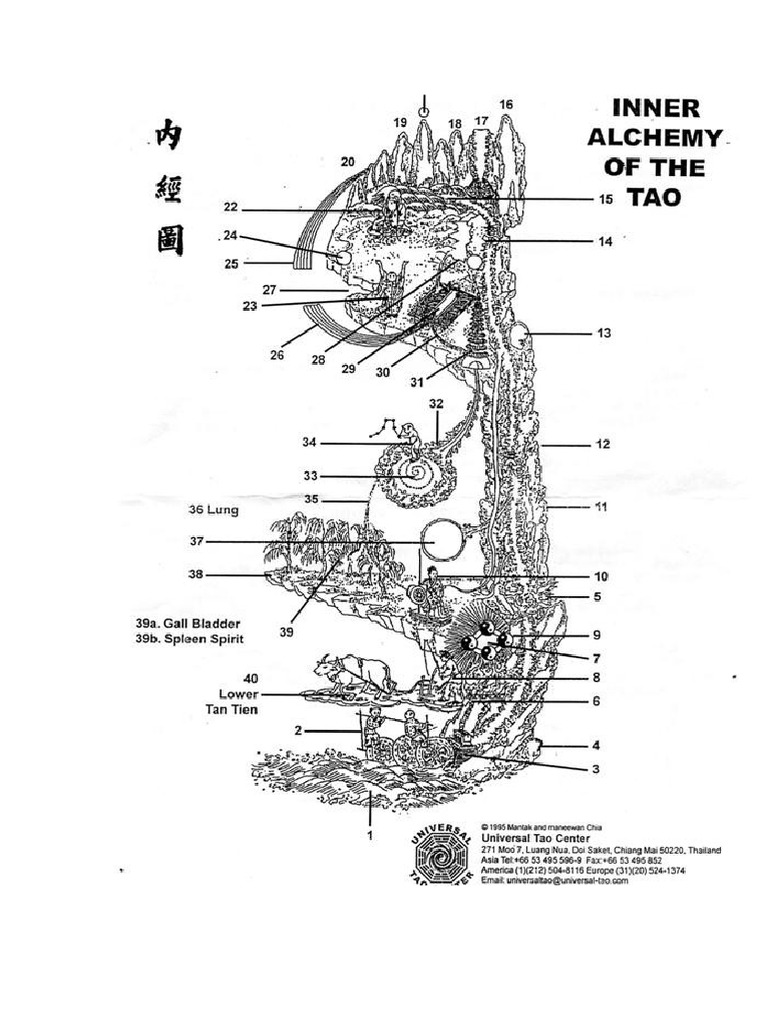 Taoist Inner Alchemy Explained | PDF | Neidan | Yin And Yang
